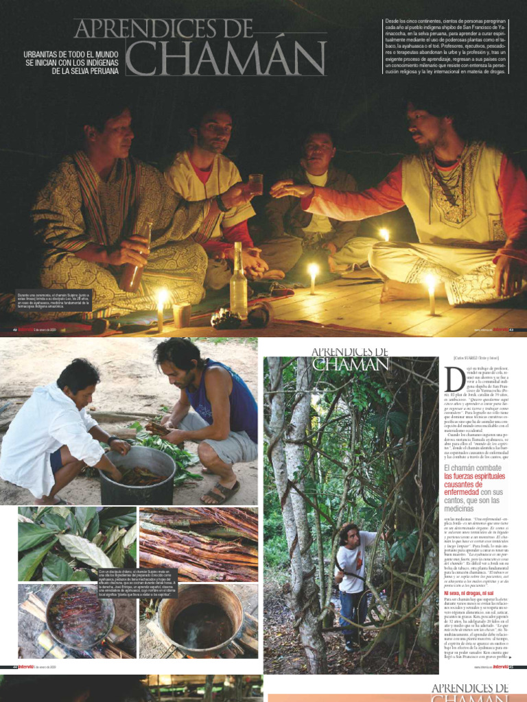 Aprendices de Chamán (INTERVIÚ) | PDF | Chamanismo | Ayahuasca