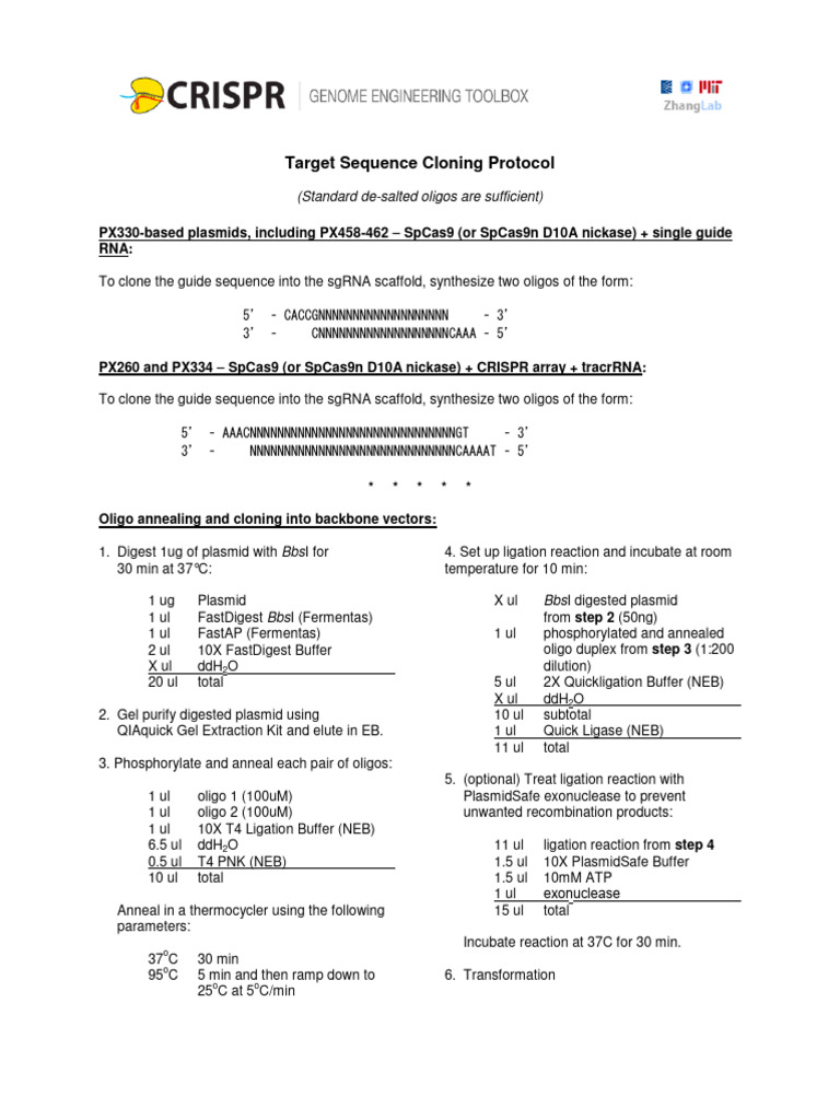 Zhang Lab General Cloning Protocol Target Sequencing - 1 | PDF | Dna ...