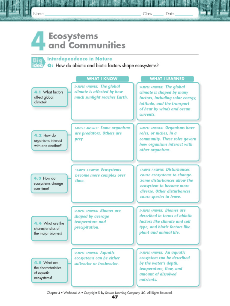 Chapter 4 Workbook Ak | PDF | Earth | Ecosystem