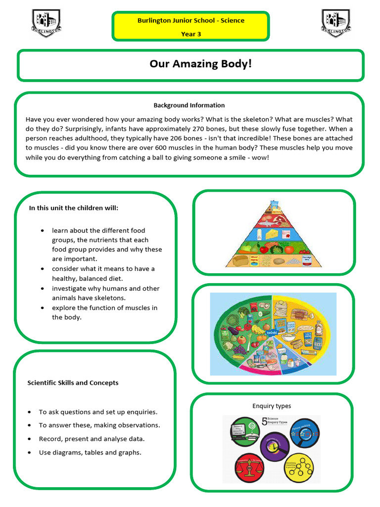 Summer 1 2021 Science Year 3 | PDF | Foods | Nutrition