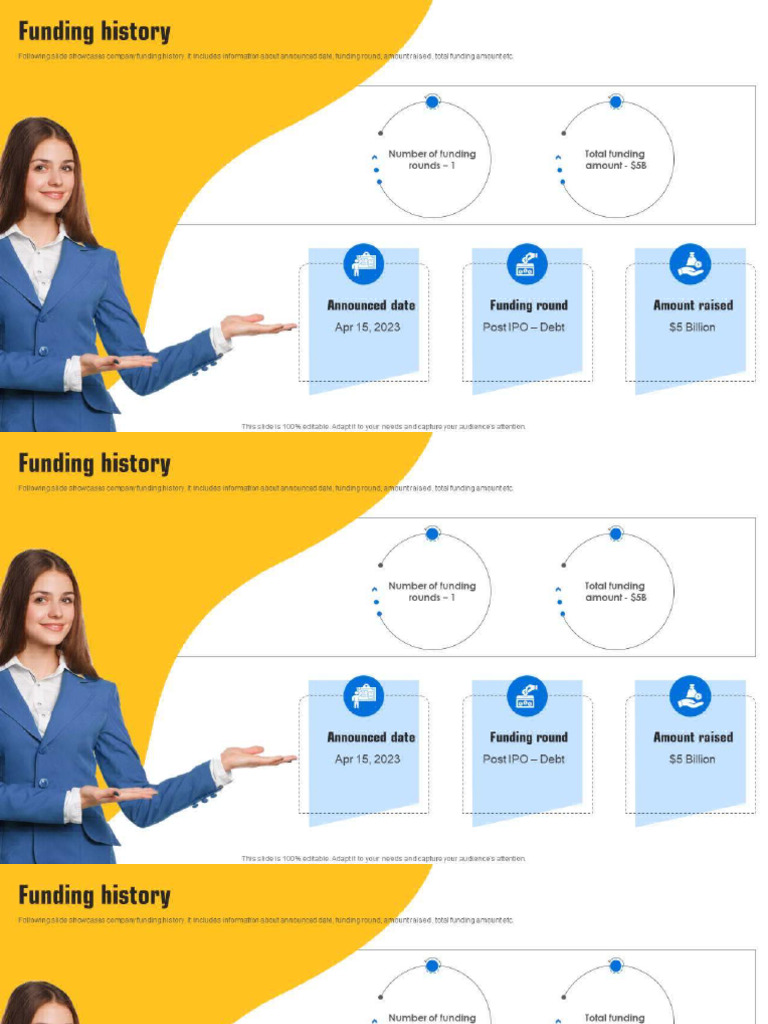 Funding History Walmart Investor Funding Elevator Pitch Deck | PDF