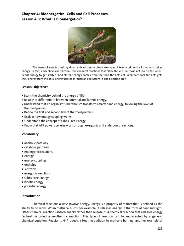 C. Chapter 4-Lesson 4.3-What Is Bioenergetics | PDF | Bioenergetics | Chemistry