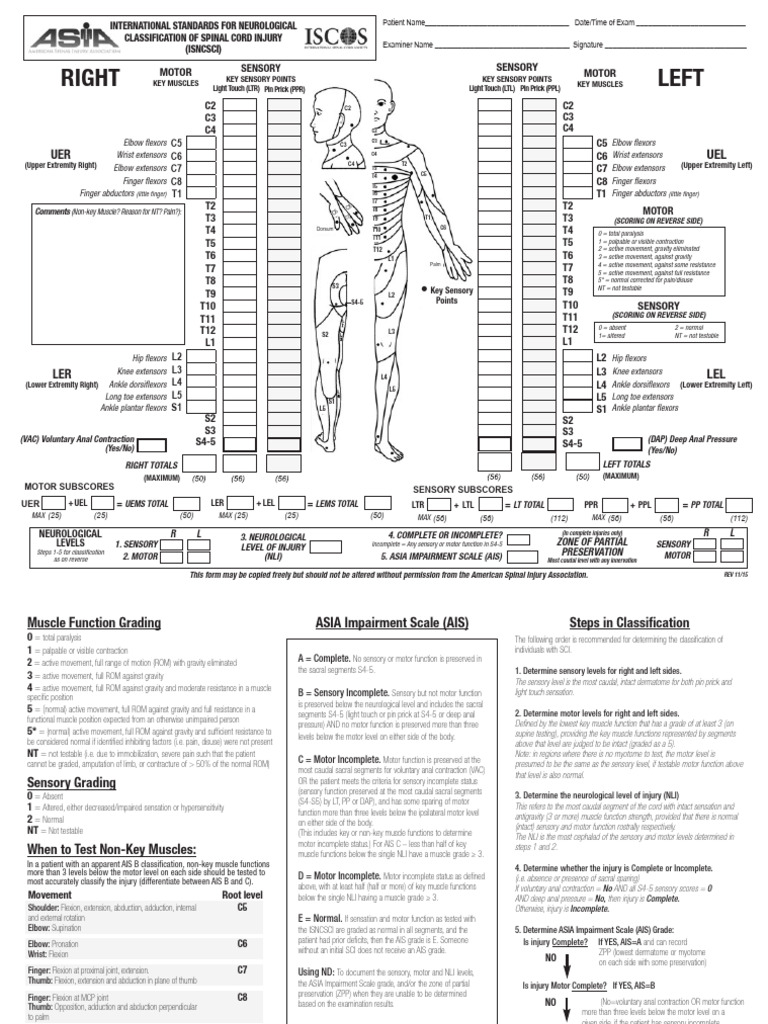 ASIA Impairment Scale Assessment | PDF | Anatomical Terms Of Motion ...