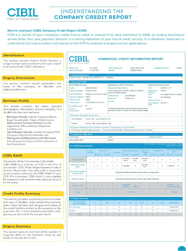Understand Your Cibil Company Credit Report | PDF | Credit | Finance & Money Management