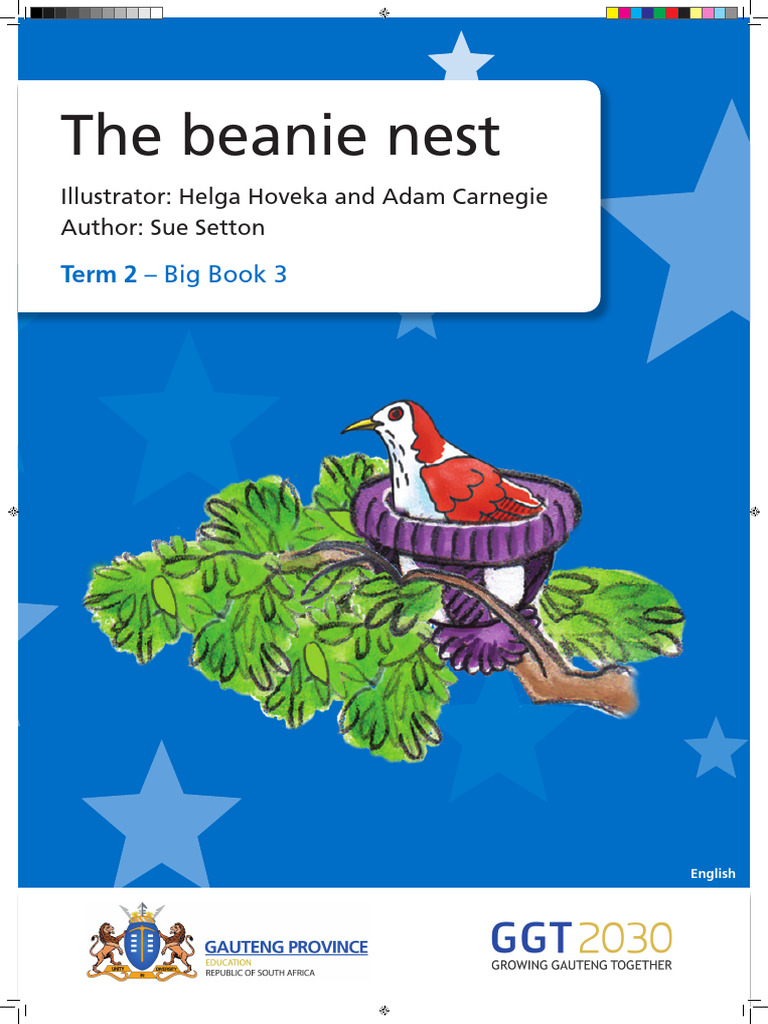 The Beanie Nest Story | PDF