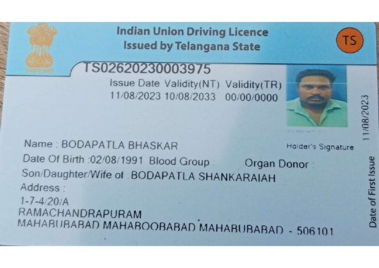 Driving Licence | PDF