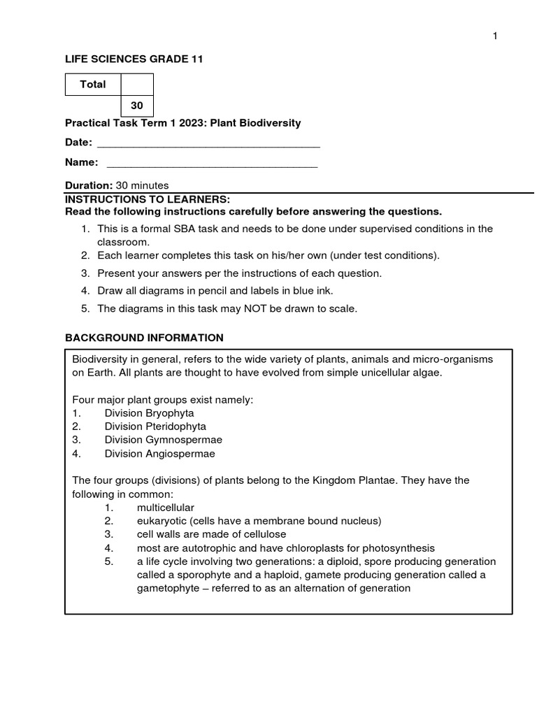 Grade 11 Plant Biodiversity Task | PDF | Biology | Biological Interactions