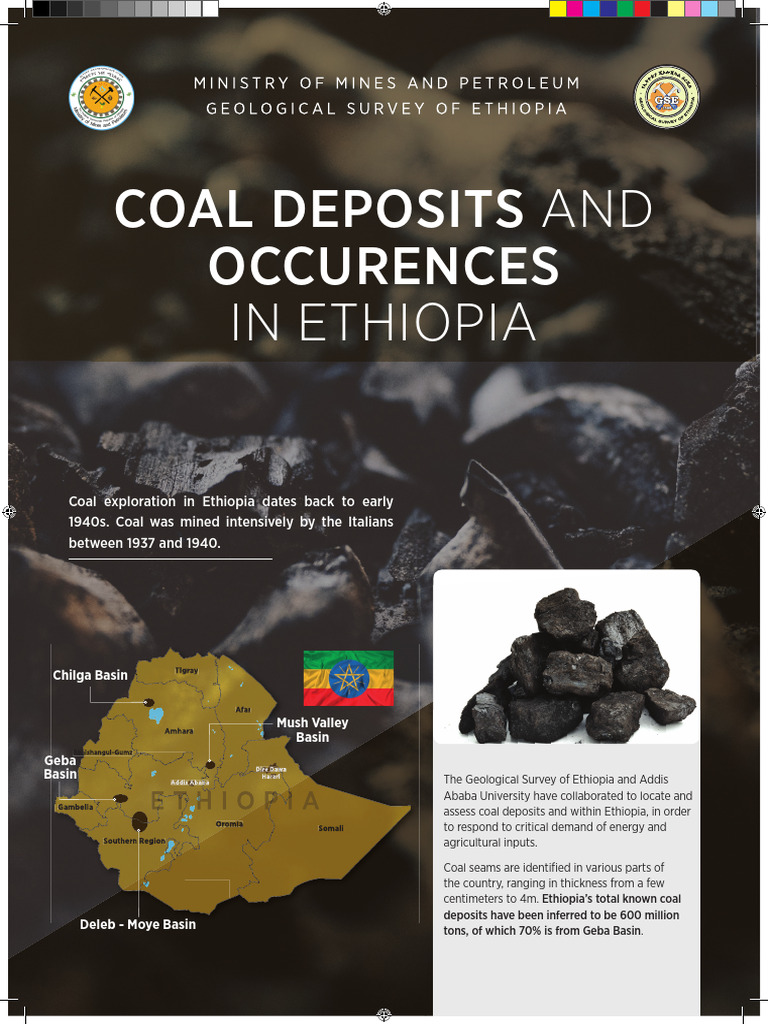 Coal Deposits FactSheet Flat | PDF | Lignite | Coal
