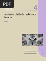 Rôle et anatomie du centre ovale cérébral | PDF | Cerveau | Cortex cérébral