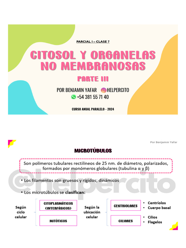 Citoesqueleto - Ii - Alumnos PDF | PDF | Microtúbulos | Biología