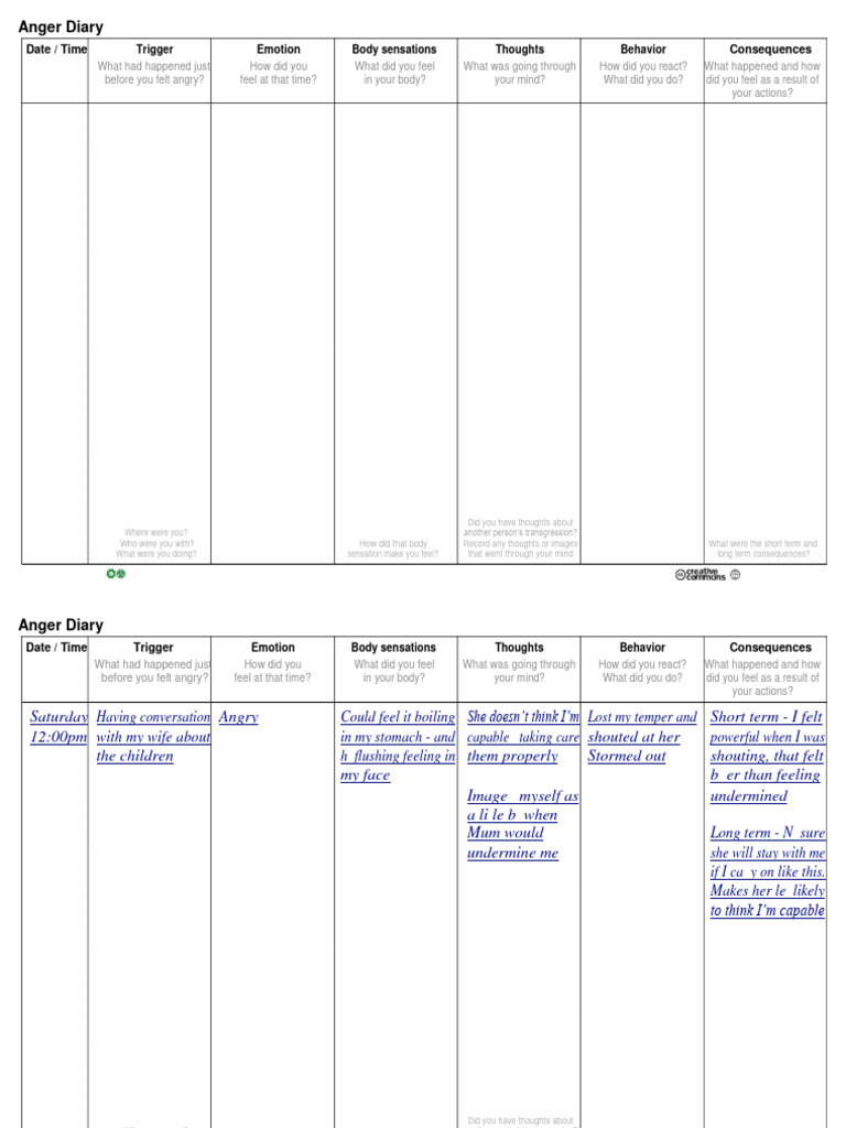 Anger Diary | PDF | Feeling | Anger