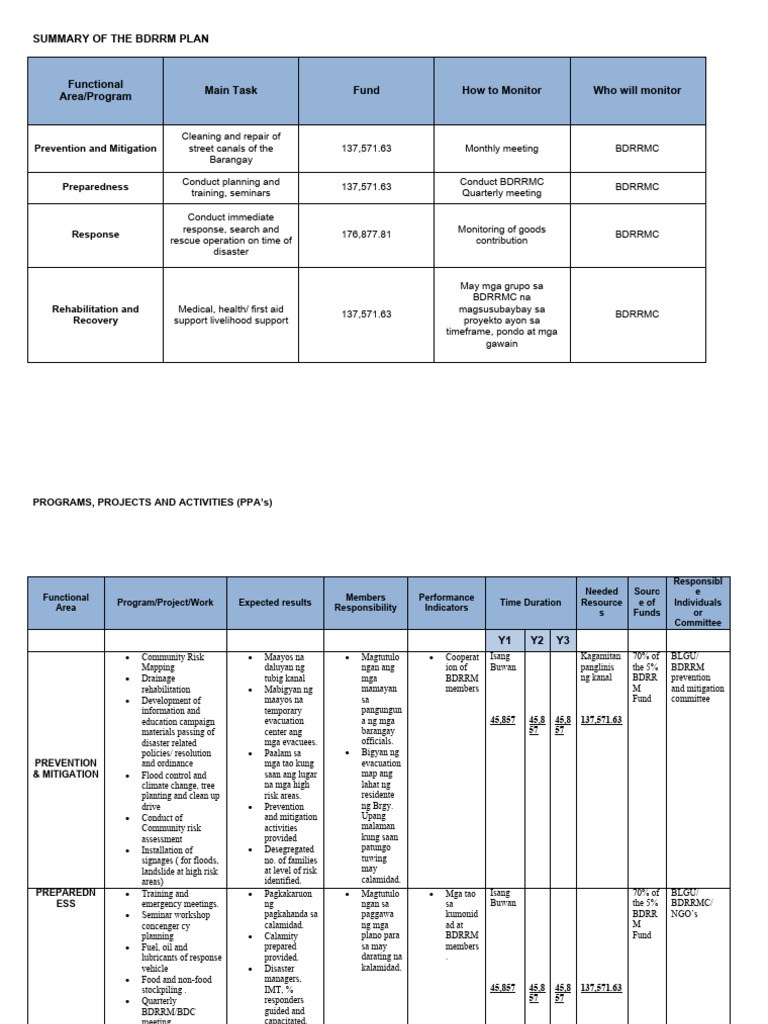 Summary of The BDRRM Plan | PDF | Disasters | Natural Events