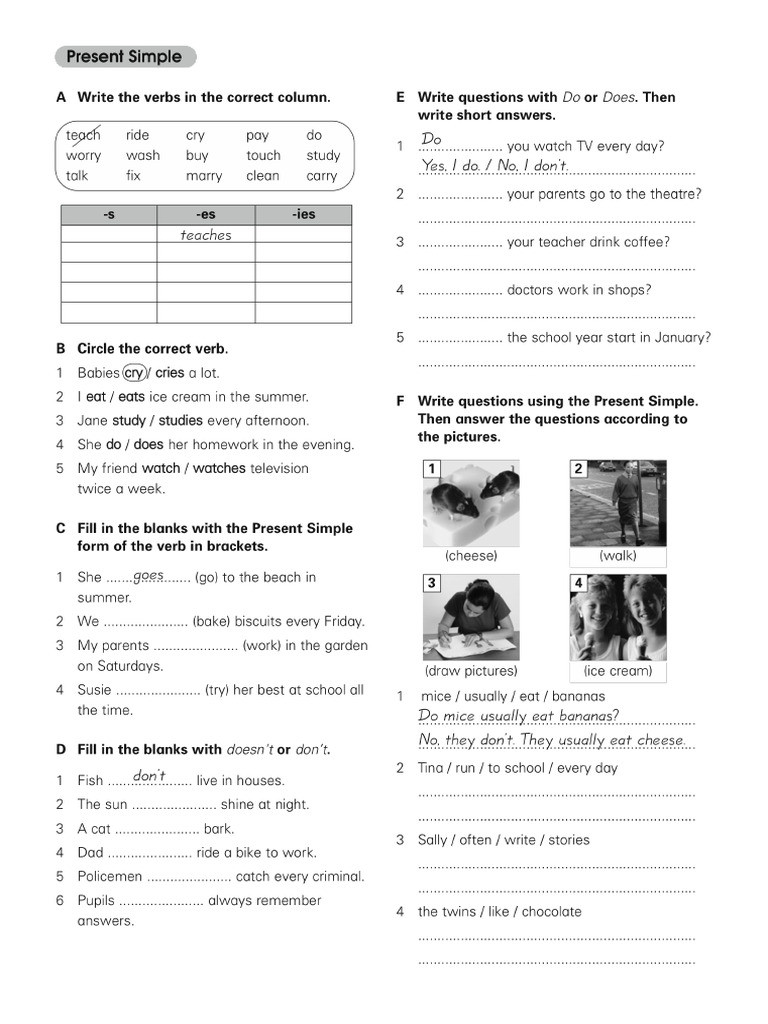 Simple Present | PDF