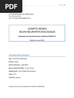 Test de Stroop Victoria : Guide d'utilisation | PDF | Attention | Vert