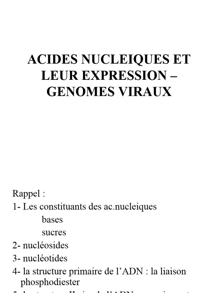 Ac Nucleiques Et Expression | PDF | Réplication de l'ADN | Acide nucléique