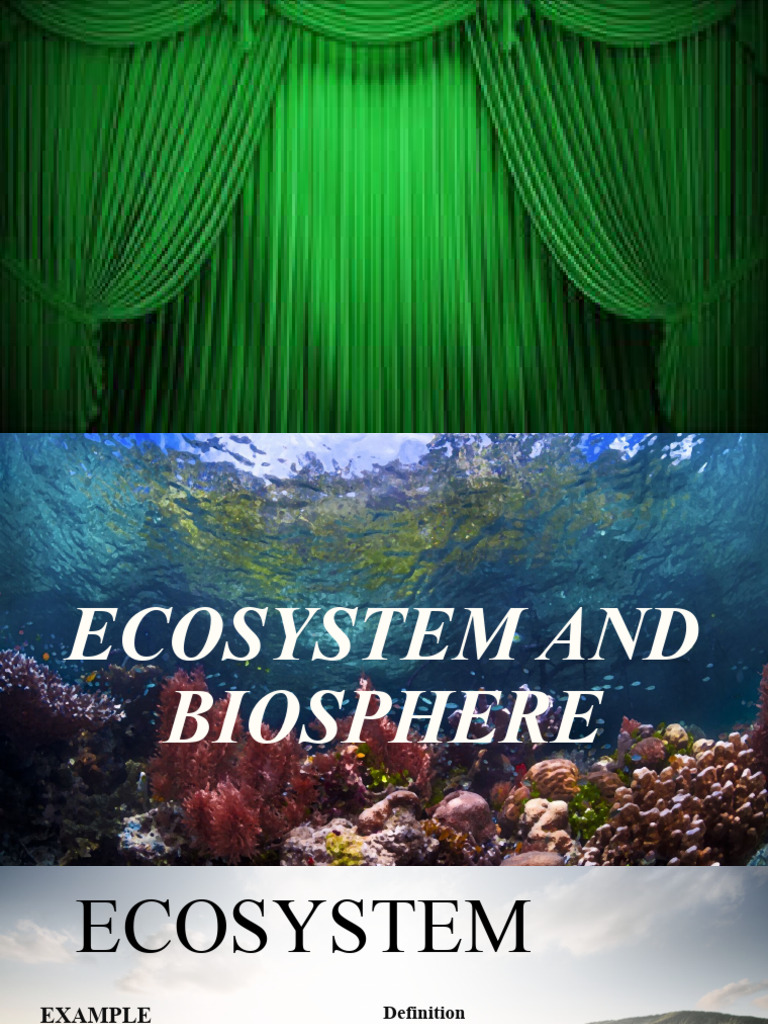 Ecosystems and Biosphere | PDF | Predation | Ecosystem
