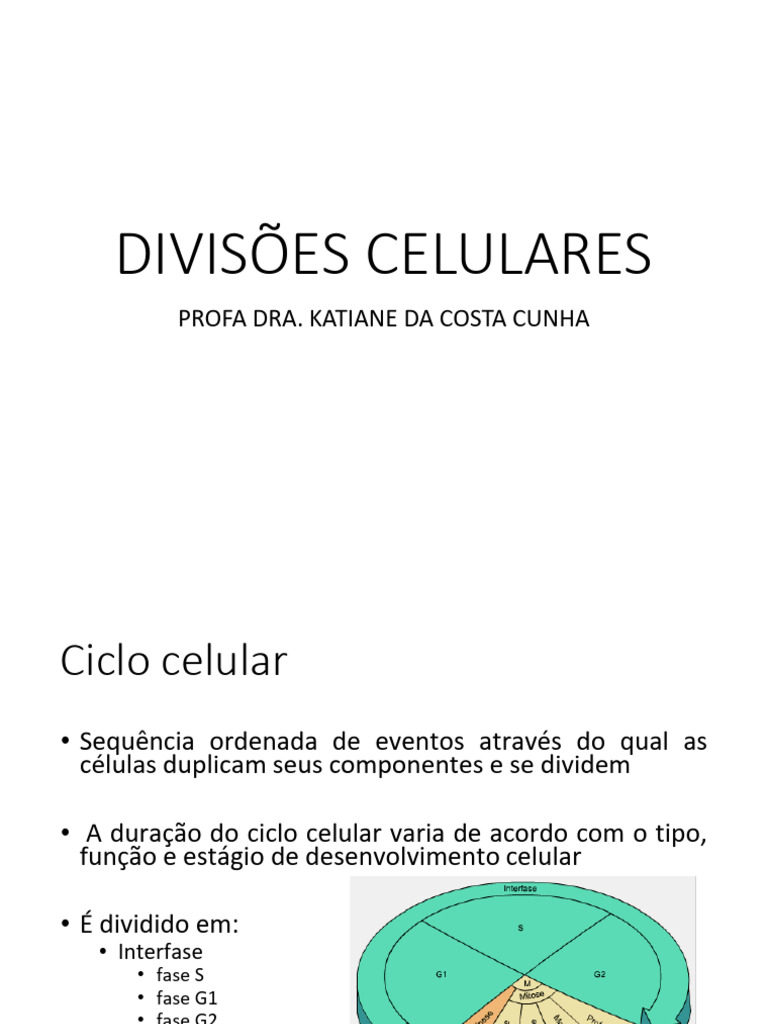 Guia Completo de Divisão Celular | PDF | Meiose | Mitose