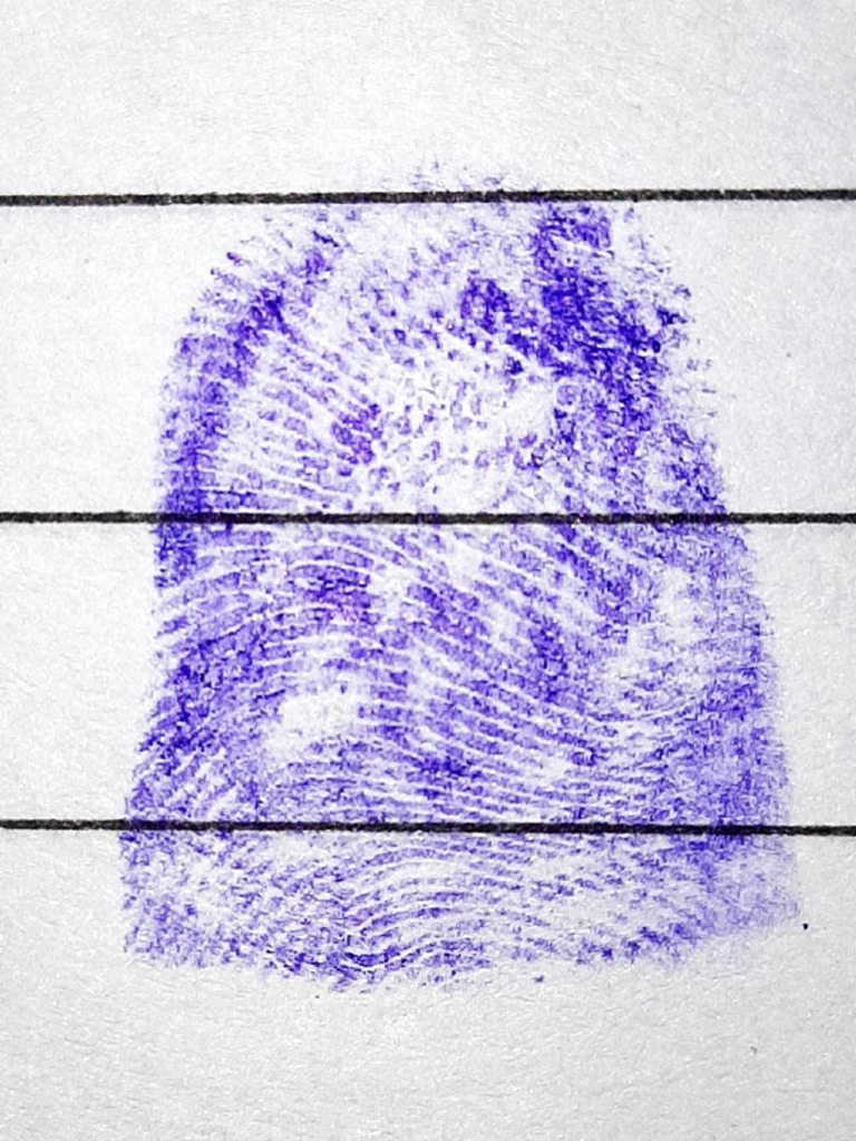 Scan - 2024-02-08 07 - 56 - 00 | PDF