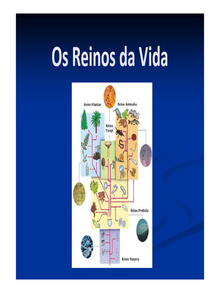 Os-Reinos-Da-Vida | PDF | Fungo | Algas