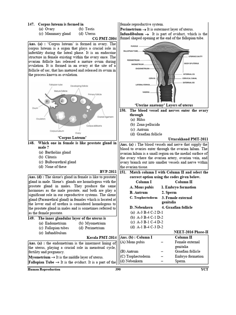 Human Reproduction Questions Practice - 6 | PDF | Luteinizing Hormone ...