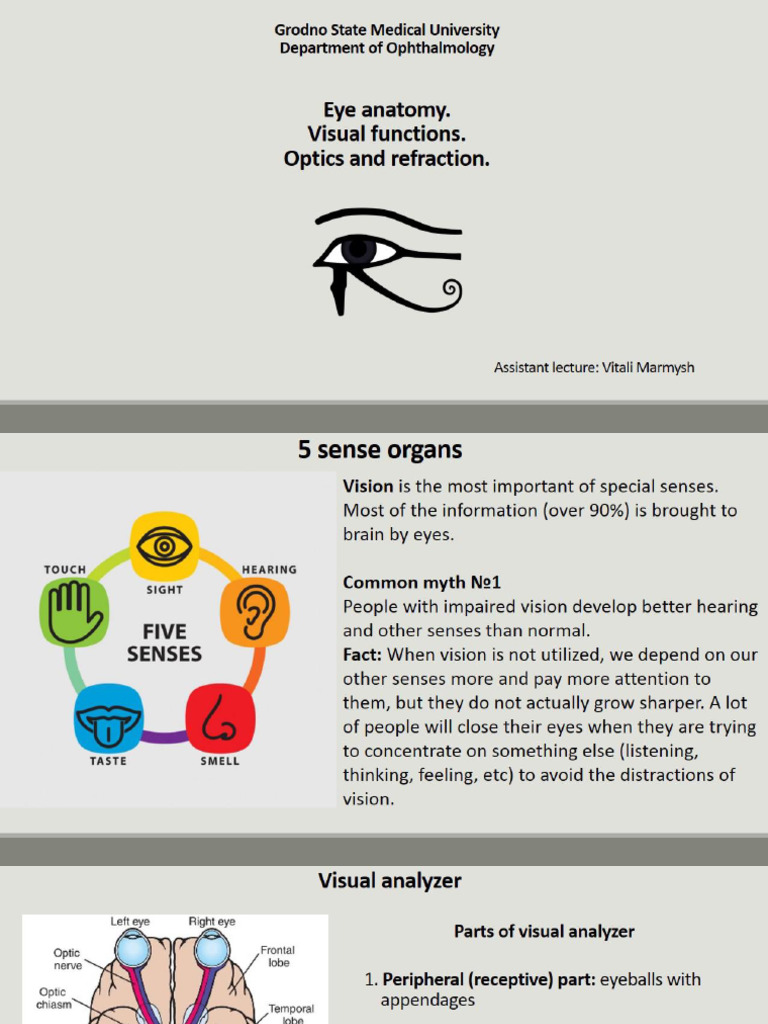 Eye Anatomy. Visual Functions. Optics and Refraction | Download Free ...
