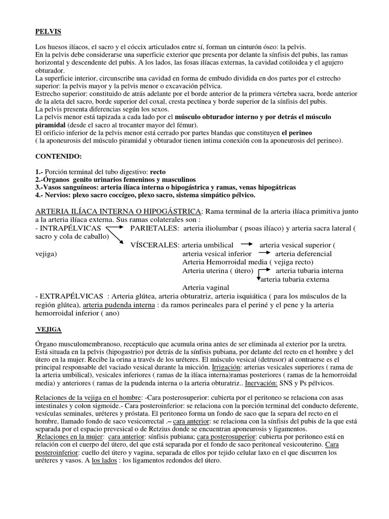 Pelvis Teórico Pdf Pelvis Ovario