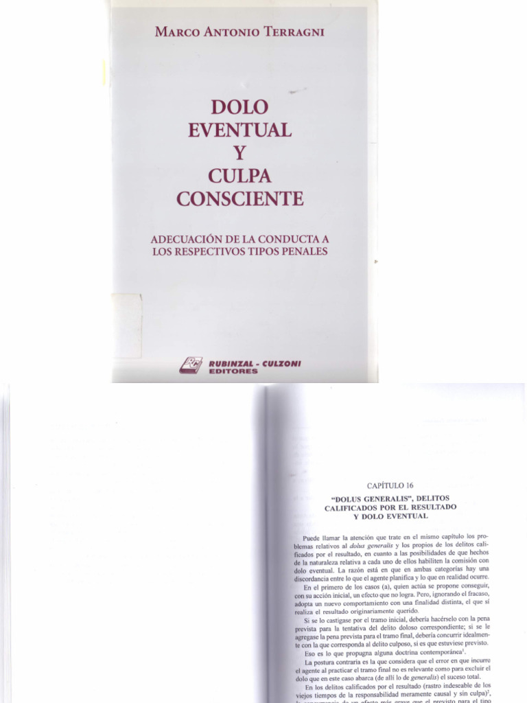 Dolo Eventual y Culpa Consciente. Terragni | PDF