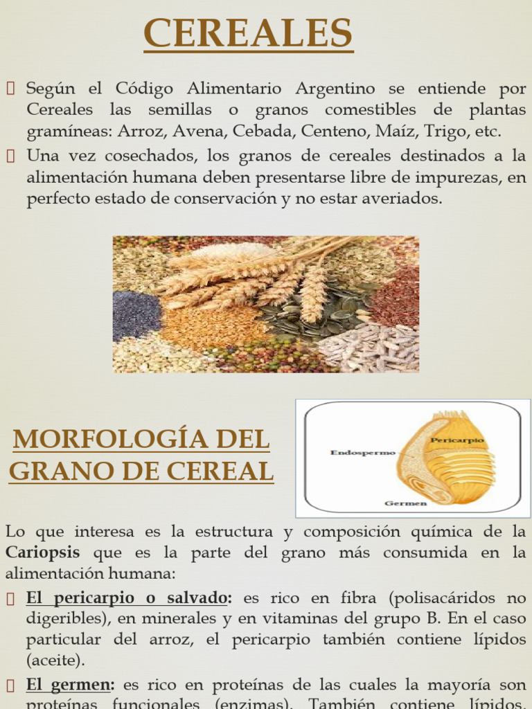 11 Trigo y Legumbres | PDF | Trigo | Legumbre