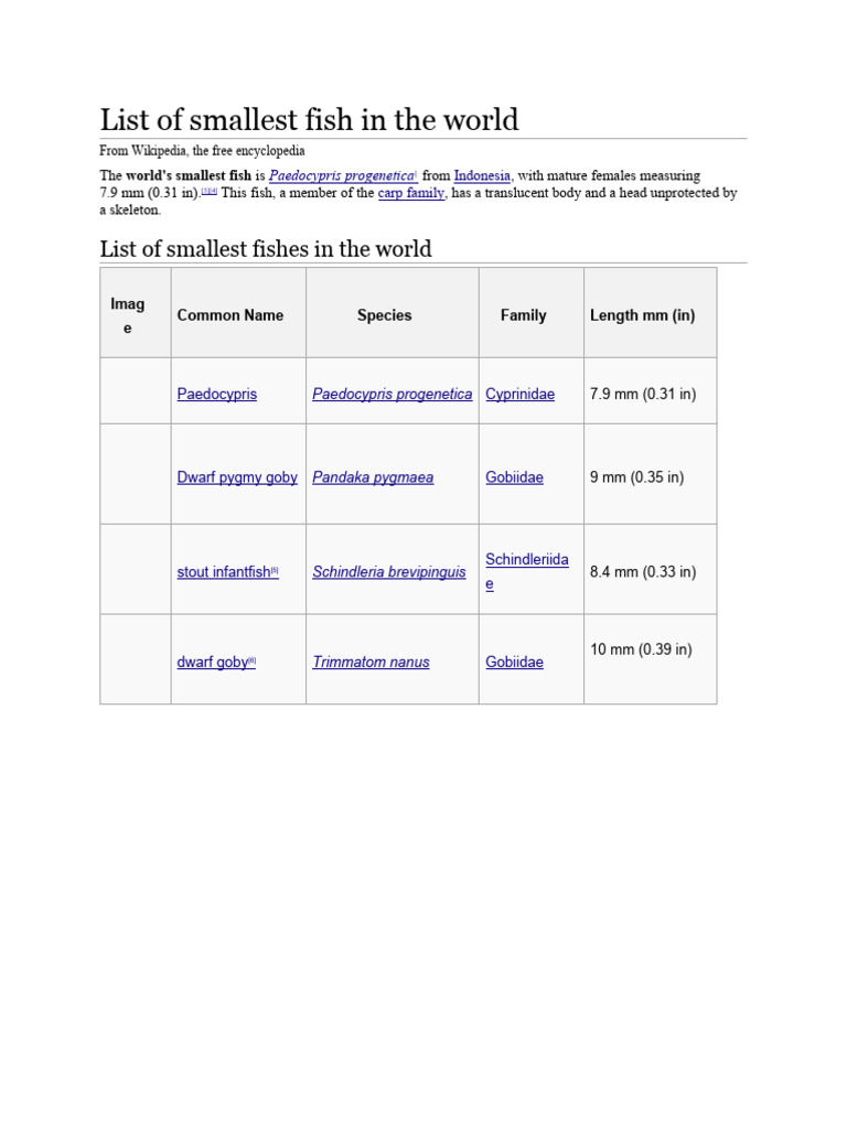 List of Smallest Fish in The World | PDF