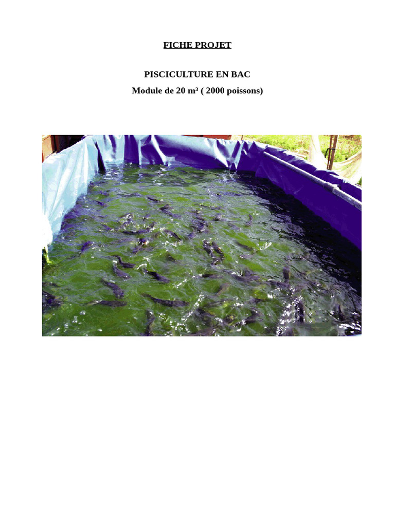Projet de pisciculture en bac hors sol | PDF
