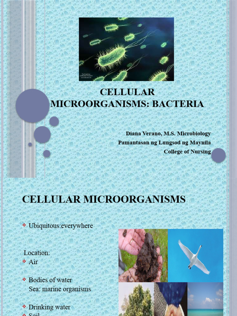 Cellular Microorganisms | PDF | Lipopolysaccharide | Gram Negative Bacteria