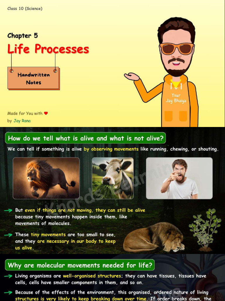 Chapter 5 Life Processes | PDF