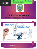 Posiciones Quirúrgicas y Usos | PDF | Abdomen | Anatomía humana