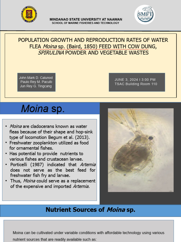 Moina Proposal Final1 | PDF | Ammonia | Manure