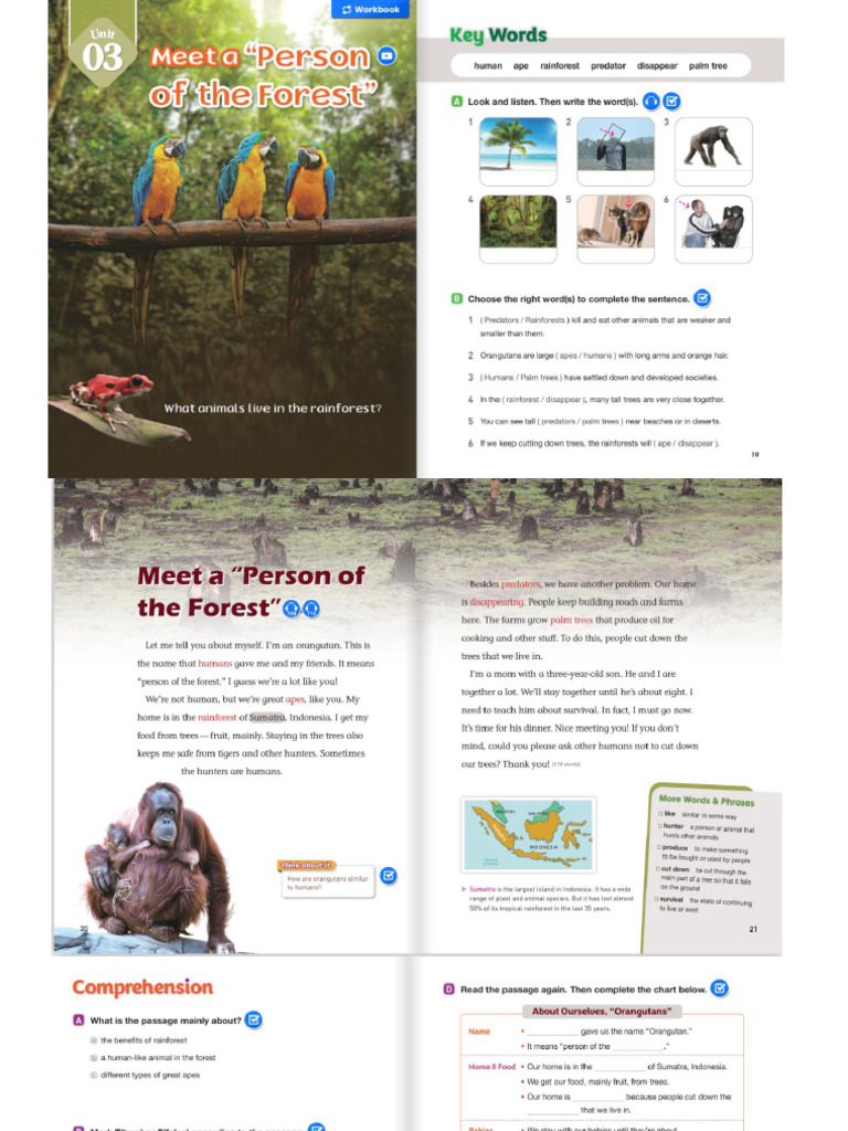 Meet The Person of The Forests | PDF