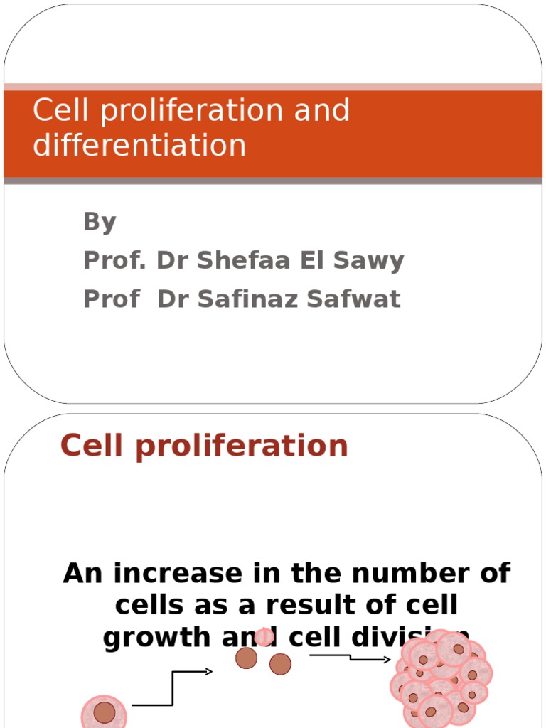 Cell Proliferation and Differentiation New | PDF | Wellness