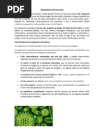 ¿Las Plantas Son Unicelulares o Pluricelulares - ¡Descúbrelo! | PDF | Plantas | Algas