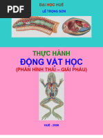 phản ứng biure | PDF