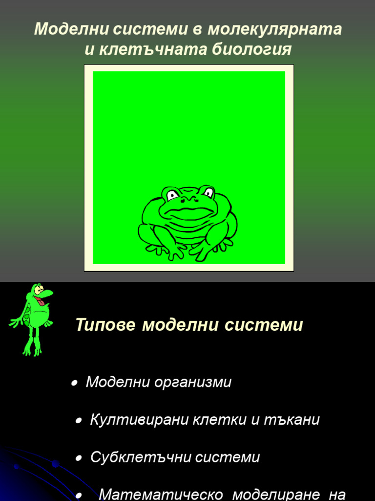 Lecture 2 - Model Animals | PDF