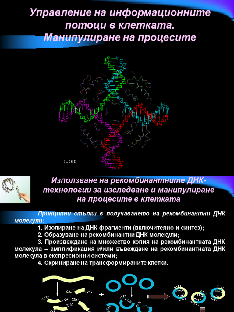Lecture 4 - Manipulating - Living Systems - I - II - U | PDF