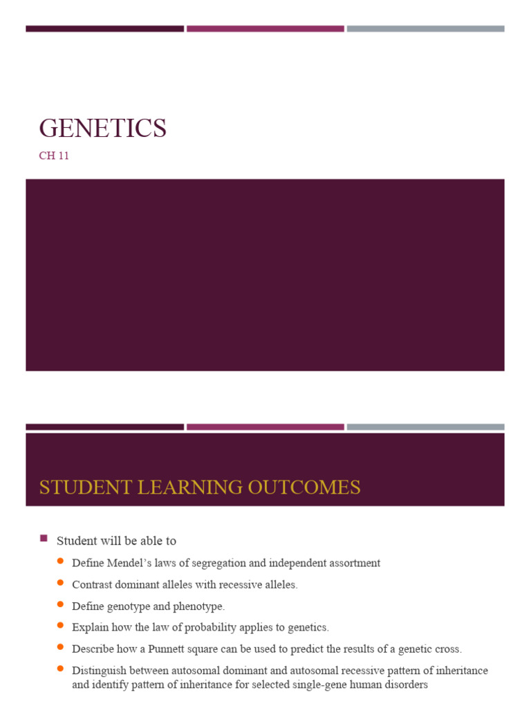 Chapter 11 Genetics Spring 2024 | PDF | Dominance (Genetics) | Genotype