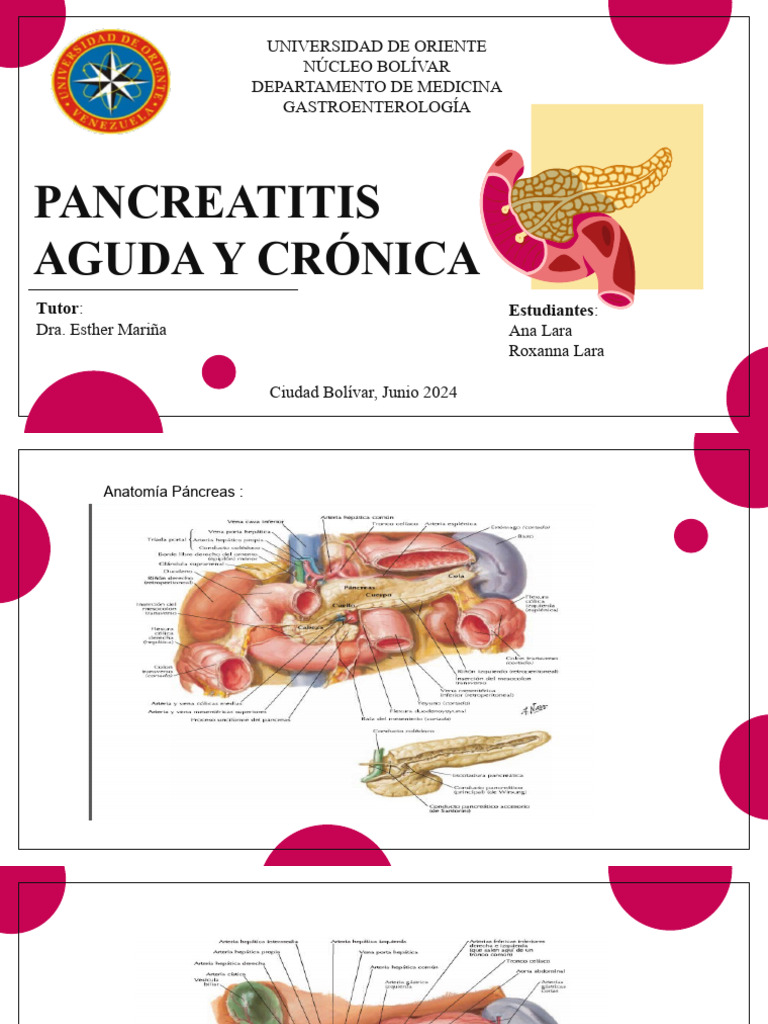 Pancreatitis Aguda y Cronica | PDF | Medicina CLINICA | Causas de la muerte