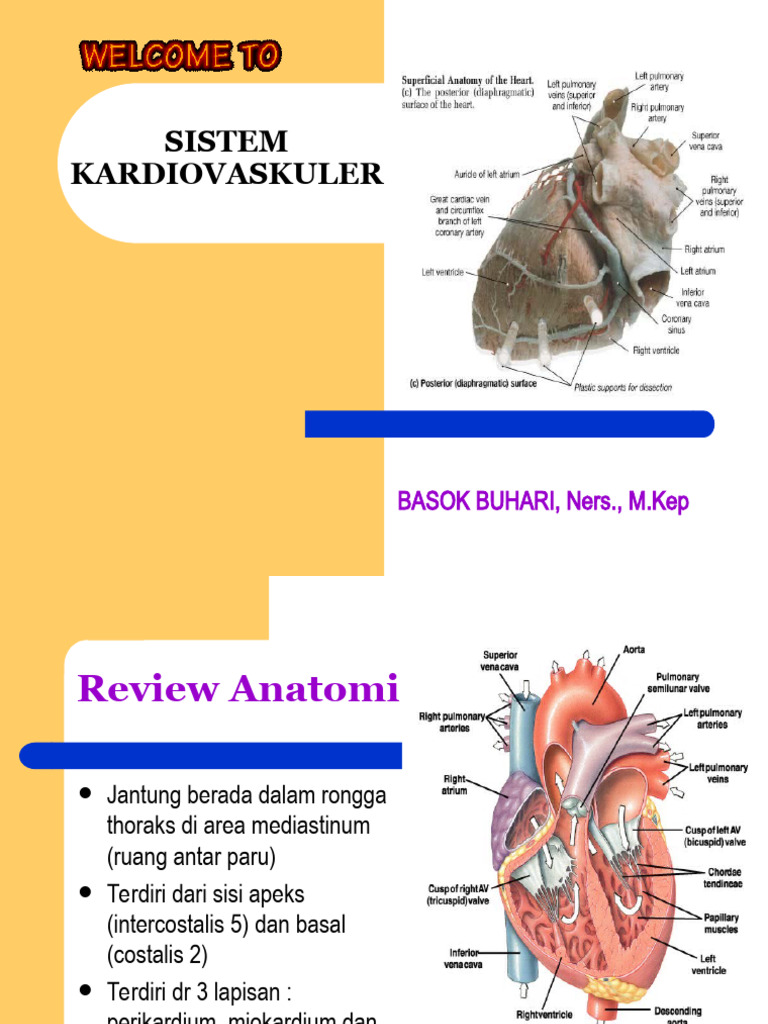 Sistem Kardiovaskuler | PDF