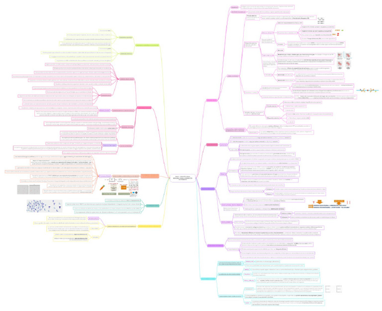 Mapa Mental - Tema 2 | PDF