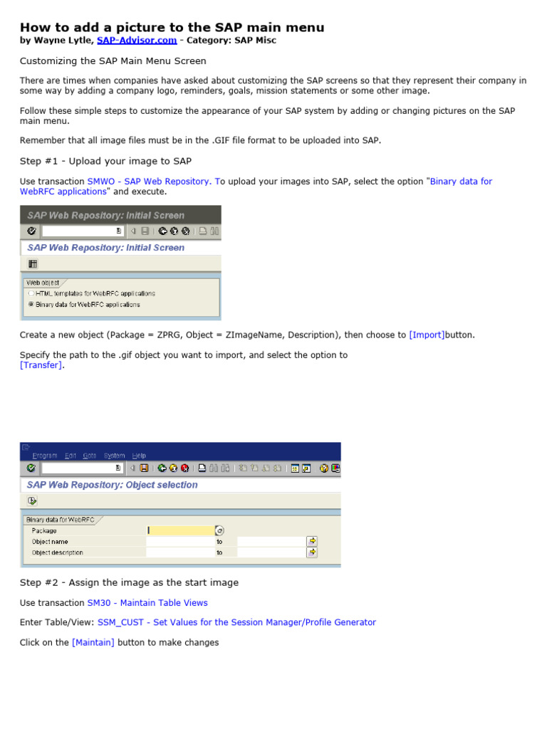 How To Add A Picture To The SAP Main Menu | PDF