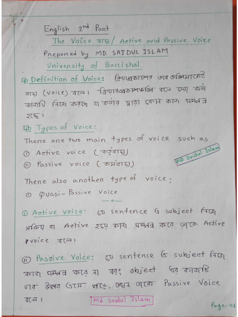 Voice (Md. Saidul Islam) | PDF