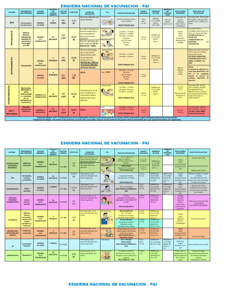 Pai Esquema de Vacunación | PDF | Inyección (medicina) | Vacunas Pai Esquema de Vacunación | PDF | Inyección (medicina) | Vacunas