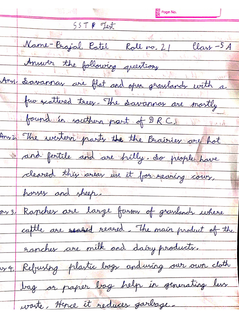 5A 21 Prajal Patel SST | PDF