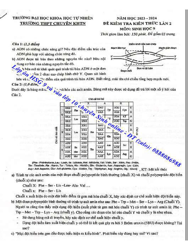 Thi TH - KHTN - 2024.2 | PDF