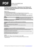 CAP Cancer Protocol Colon NET | PDF | Large Intestine | Pathology